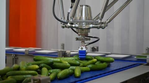 Full Line Packaging Automation | Shape Process Automation